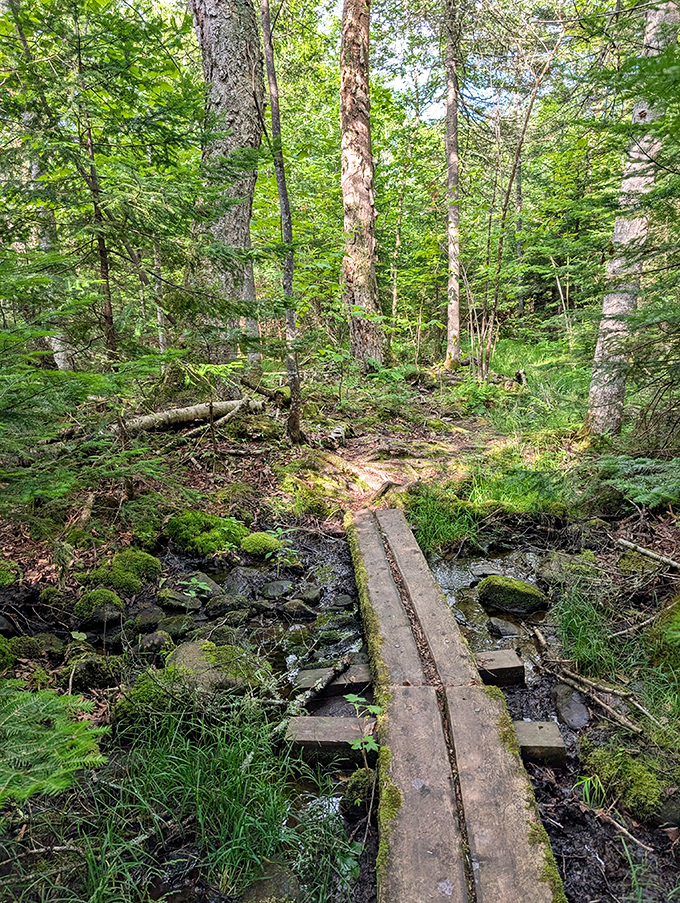 A simple wooden walkway invites exploration through Rangeley's lush forest, where moss-covered stones whisper tales of glacial history.