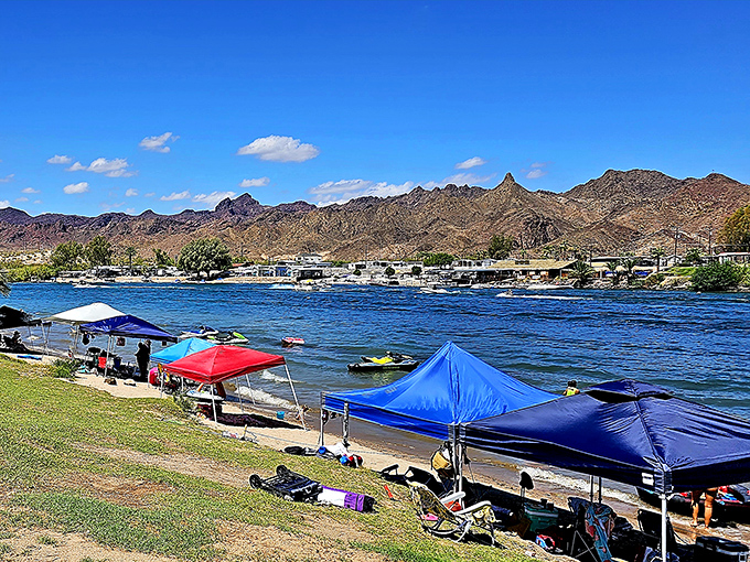 Colorful canopies dot the shoreline like confetti, as visitors stake their claims to prime river real estate for a day of desert-meets-water bliss.