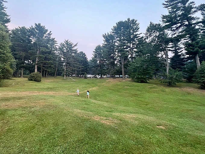 Spacious campsites nestled among towering pines offer that perfect balance &ndash; close enough to nature to feel immersed, far enough from neighbors to avoid unwanted campfire karaoke.