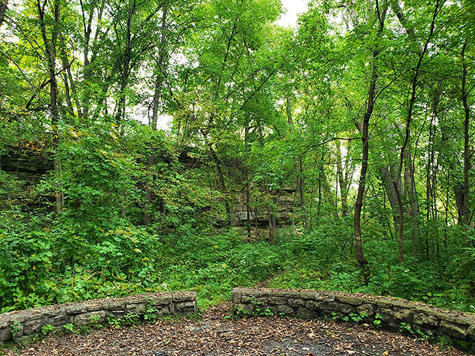 The St. Croix Boom Site whispers tales of lumber barons and river rats &ndash; nature reclaiming history one tree root at a time.