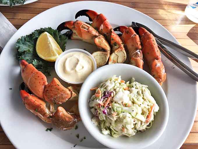 A perfect plate of stone crab claws with creamy coleslaw &ndash; proof that sometimes the simplest combinations create the most memorable meals.
