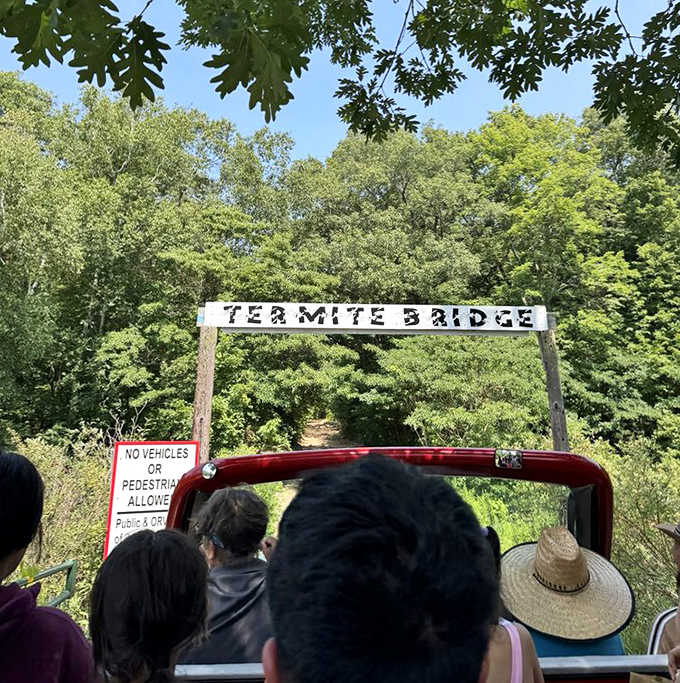The rustic Termite Bridge welcomes riders into a green oasis, proving that Michigan's dune country isn't just about sand.