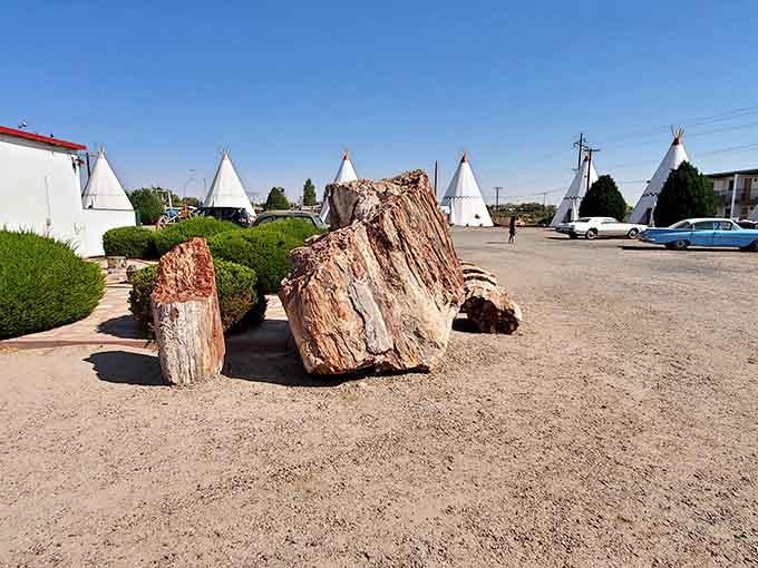 Massive chunks of petrified wood remind visitors that Arizona's natural wonders are just as impressive as its human-made roadside attractions.