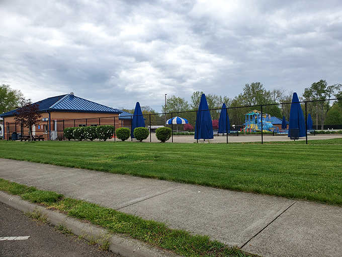 Blue umbrellas stand at attention like loyal soldiers against the Ohio sun, creating islands of shade for weary swimmers.