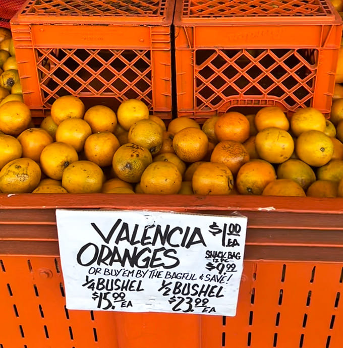 Valencia oranges rest in their vibrant orange crates, nature's perfect snack packaging that doubles as rustic décor.