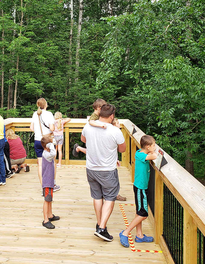 The best kind of wildlife watching &ndash; families gather on the viewing platform, creating memories that will outlast any theme park visit.