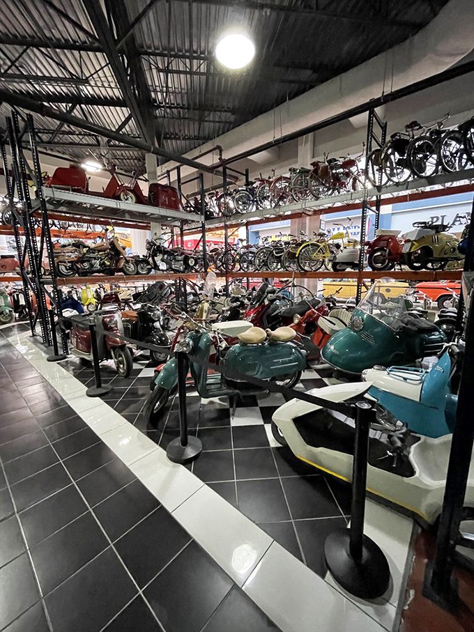 Vintage motorcycles line up like metallic time travelers, each telling stories of wind-whipped adventures from decades past.