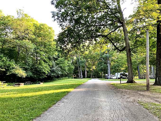 A peaceful pathway meanders through the park, inviting wanderers to lose themselves in nature's embrace for an afternoon.