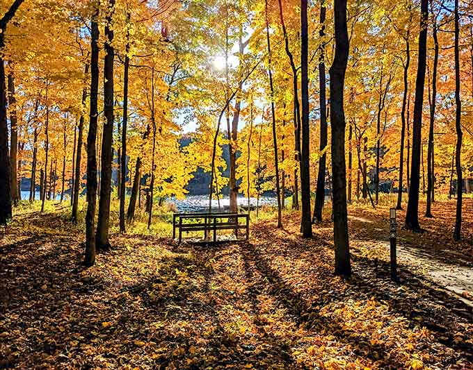 The Pick Museum of Anthropology houses world cultures under one roof, making global exploration possible without airport security lines.