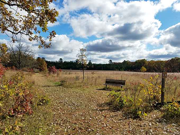 Sometimes the best seat in the house is just a bench with a million-dollar view.