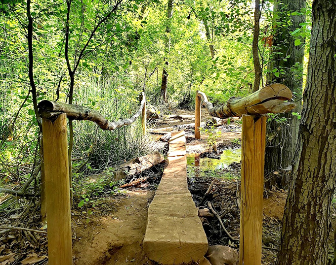 The path less taken: A rustic wooden footbridge guides adventurers through lush greenery that seems transported from another climate entirely.
