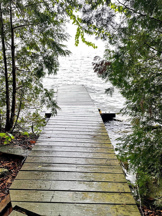 The wooden dock extends like an invitation into Maidstone's crystal waters, promising refreshment that no swimming pool could ever match.
