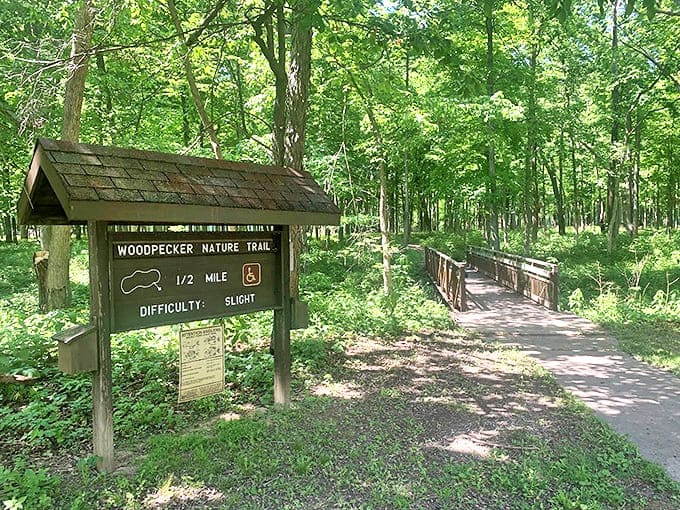 The Woodpecker Nature Trail: where even couch potatoes can feel like intrepid explorers without breaking too much of a sweat.