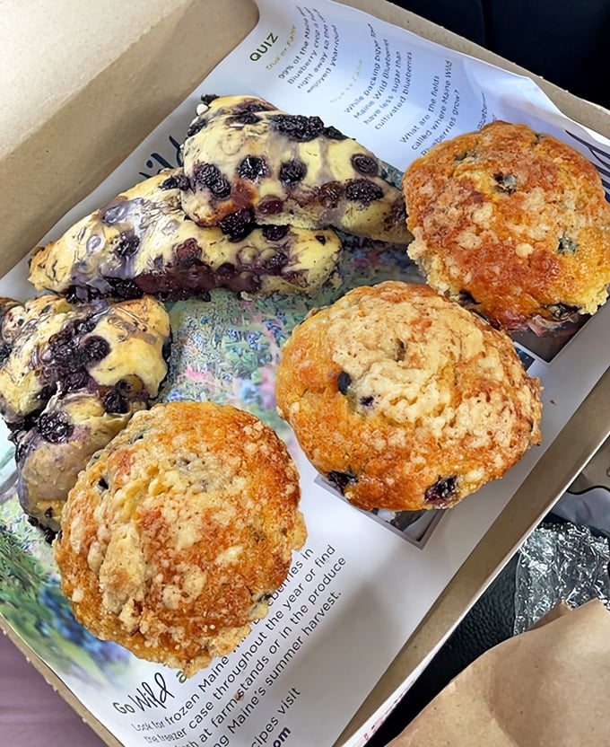 Blueberry heaven in a box: scones with that perfect crumbly texture and muffins loaded with Maine's tiny wild berries that pack more flavor than their cultivated cousins.
