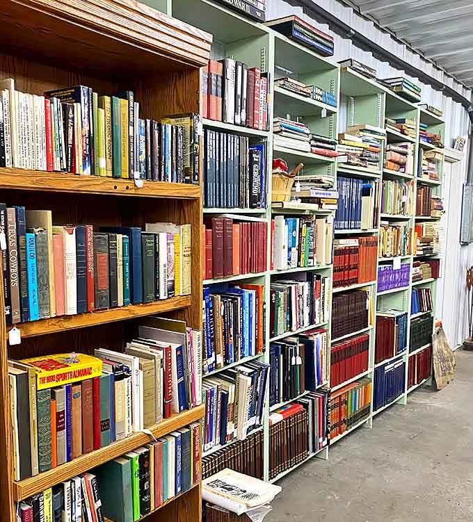 The book section isn't organized by algorithm—it's a literary treasure hunt where forgotten classics and quirky titles wait patiently for the right reader to discover them.