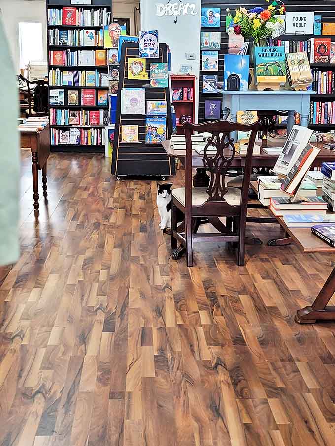 A quiet corner beckons readers to linger longer, where a strategically placed chair near the children's section invites adults to sit while young readers explore.
