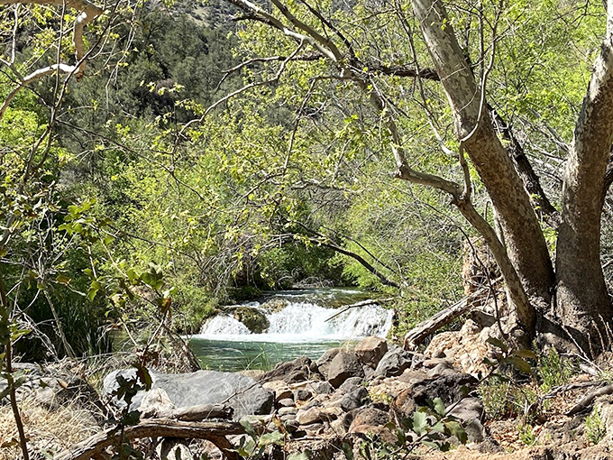 Branches create dappled sunlight: Nature's own lighting designers at work &ndash; tree limbs cast dancing shadows across the crystal-clear waters below.