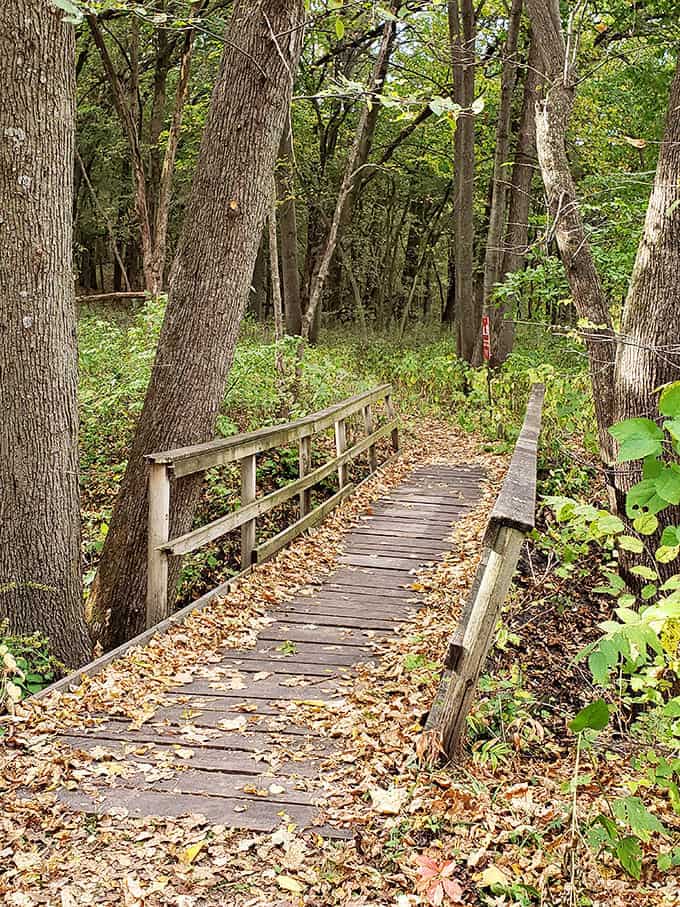 This rustic bridge doesn't ask for tolls &ndash; just a moment of your time to appreciate the craftsmanship and the babbling brook below.