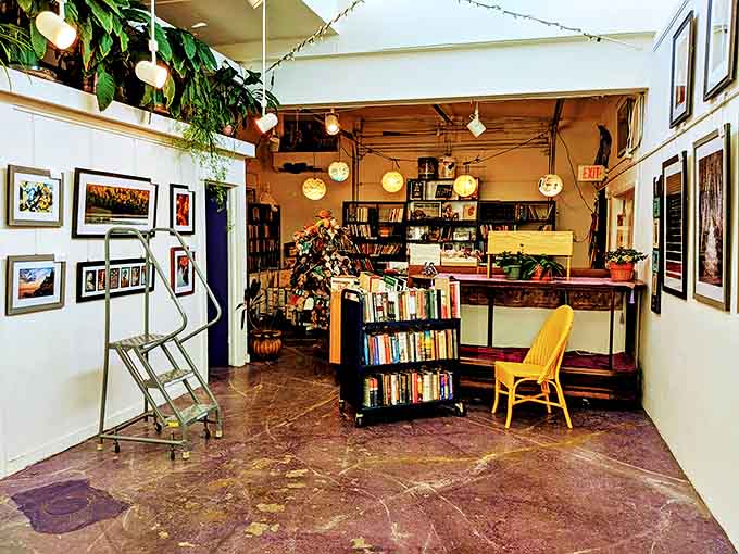 This cozy reading nook invites visitors to linger awhile, surrounded by plants and literary treasures in a space that feels more like a home than a store.