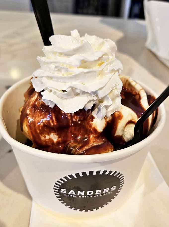This hot fudge sundae isn't just dessert; it's therapy in a cup, with whipped cream architecture that deserves its own design award.