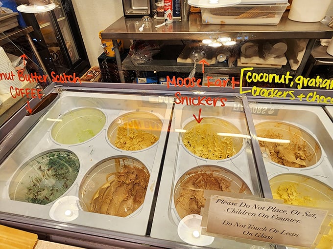 A rainbow of homemade ice cream flavors awaits, from classics to creative concoctions that might have you contemplating a second stomach.