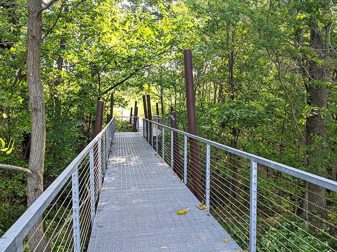 This metal boardwalk floats you through the treetops like you're starring in your own nature documentary &ndash; David Attenborough narration not included.