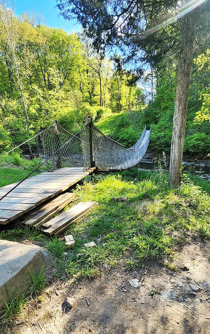 The suspension bridge from another angle &ndash; where every step feels like you're starring in your own adventure movie, minus the dangerous villains.