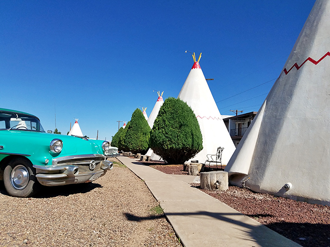 Carefully maintained pathways connect these concrete cones of nostalgia, inviting guests to stroll through living roadside history.