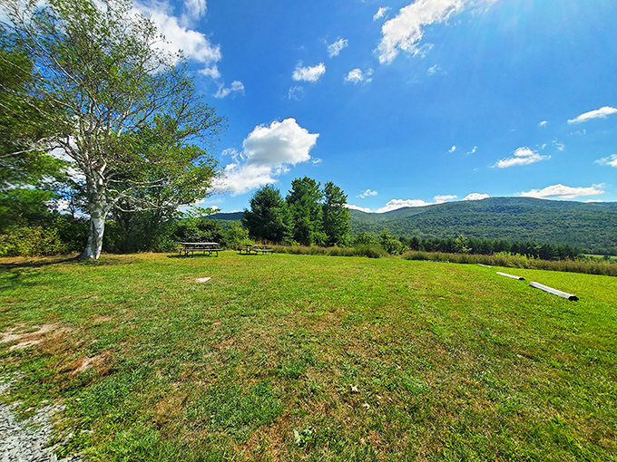 Under bright blue skies and surrounded by green mountain views, the picnic tables and benches turn this open meadow into the perfect spot to take it all in.