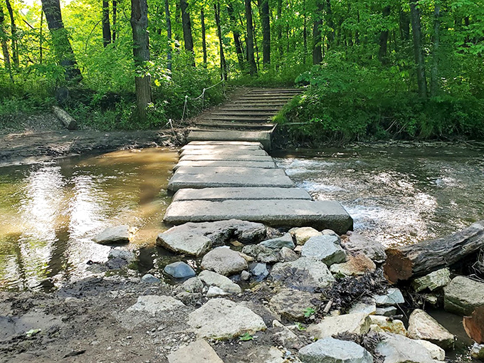 Nature's stepping stones offer passage across Prairie Creek, though the "don't fall in" challenge adds a splash of adventure.