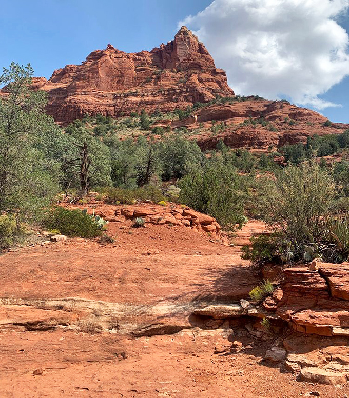 Sedona's iconic red rock formations stand sentinel against the blue Arizona sky, their majesty unchanged by centuries of wind and weather.
