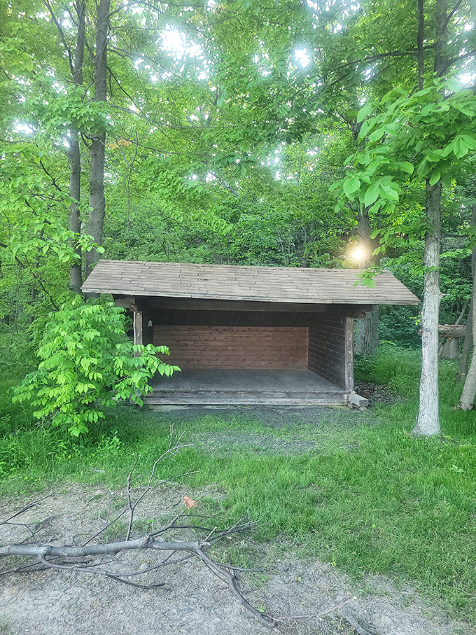 These lean-to shelters have been protecting campers from the elements since before "glamping" became a thing people said without laughing.