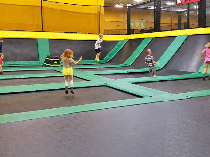 Rows of trampolines invite visitors to defy gravity in a controlled environment &ndash; unlike that time you jumped off the garage roof.