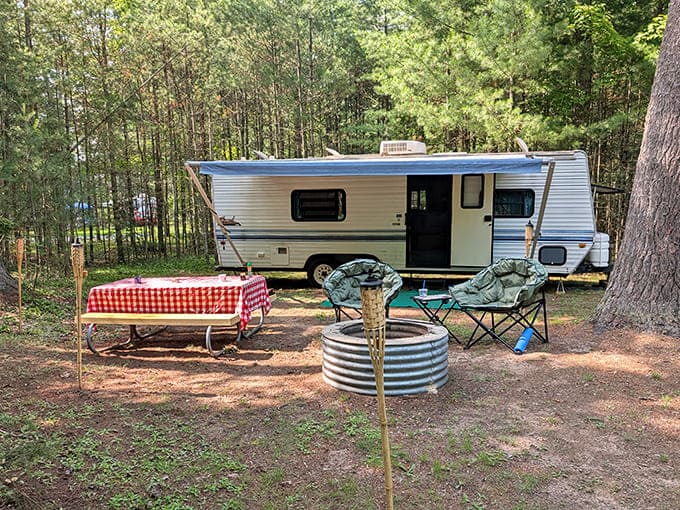Camping doesn't get more authentic than this &ndash; a classic trailer nestled among towering pines with that essential red-checkered tablecloth touch.
