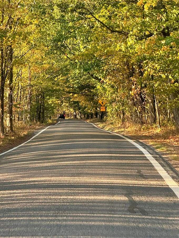 Where every twist tells a story: The winding road hugs the landscape like it was carved by an artist rather than engineers.