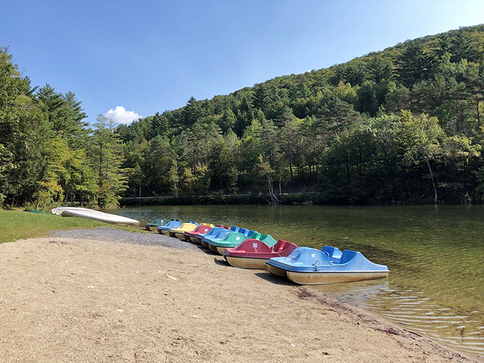 The colorful paddle boats displayed to hungry swimmers to go for more paddling.