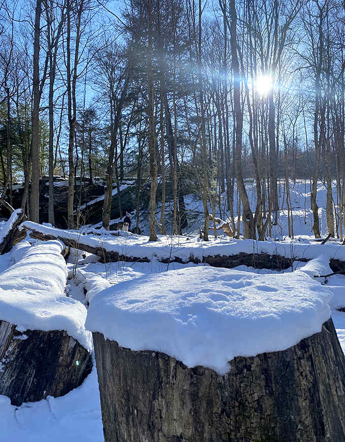 Snow transforms Honey Run into a crystalline wonderland where time seems suspended, along with the waterfall itself.