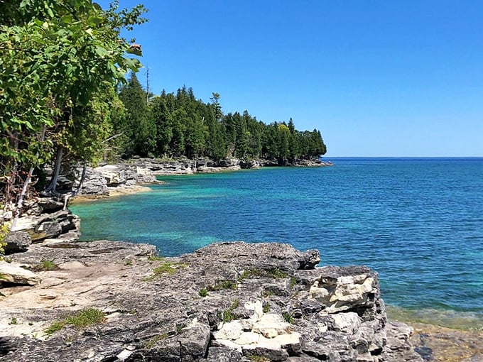 Whitefish Dunes State Park showcases nature's dramatic meeting of forest and shoreline, with crystal-clear waters inviting exploration.