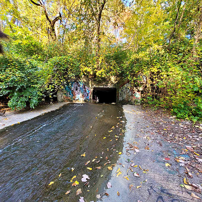 The mysterious tunnel beckons adventurers into its shadowy embrace, promising secrets on the other side.