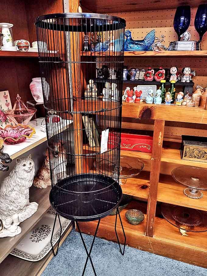 Victorian elegance meets functional art in this vintage bird cage &ndash; a miniature palace that makes modern pet accessories look positively pedestrian.