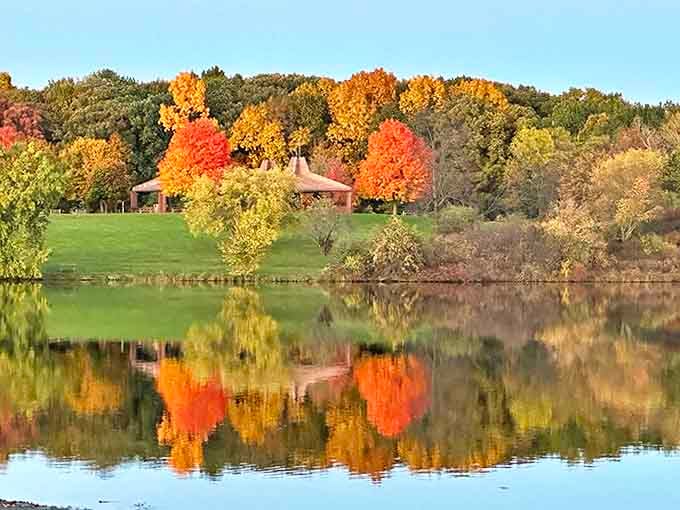 Fall's dramatic transformation turns ordinary pavilions into postcard-worthy scenes, with trees dressed in their seasonal best.