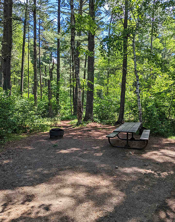 Lunch with a view! This shaded picnic area offers the perfect spot to refuel before your next woodland adventure.