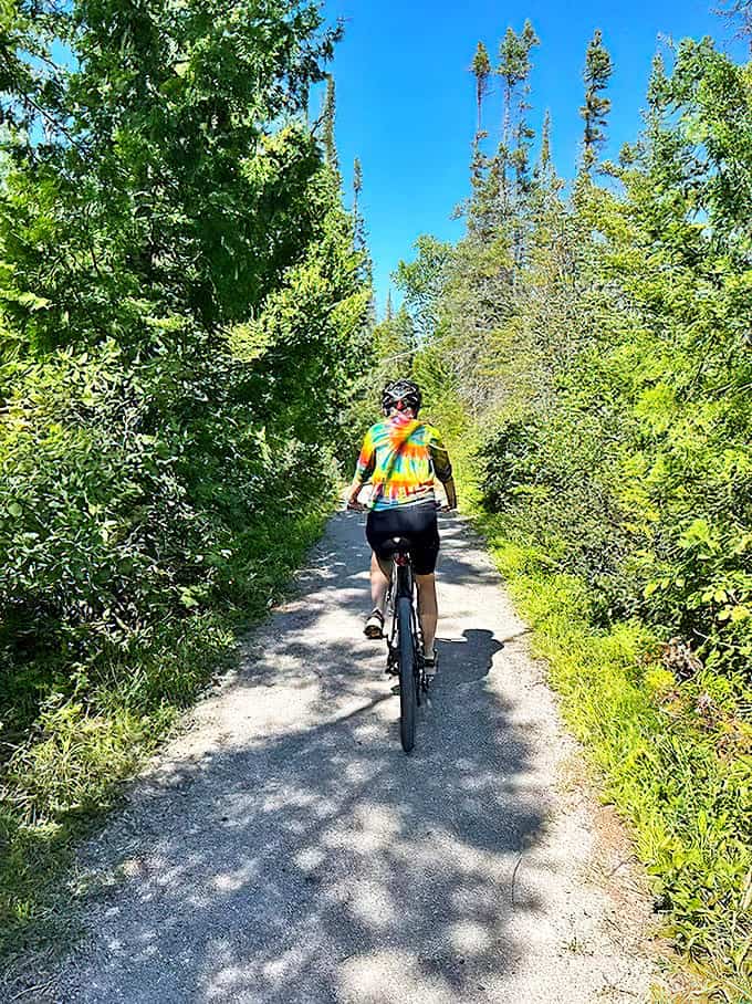 Cycling through nature's cathedral – Thompson's Harbor trails offer peaceful rides where the only traffic is an occasional curious deer.