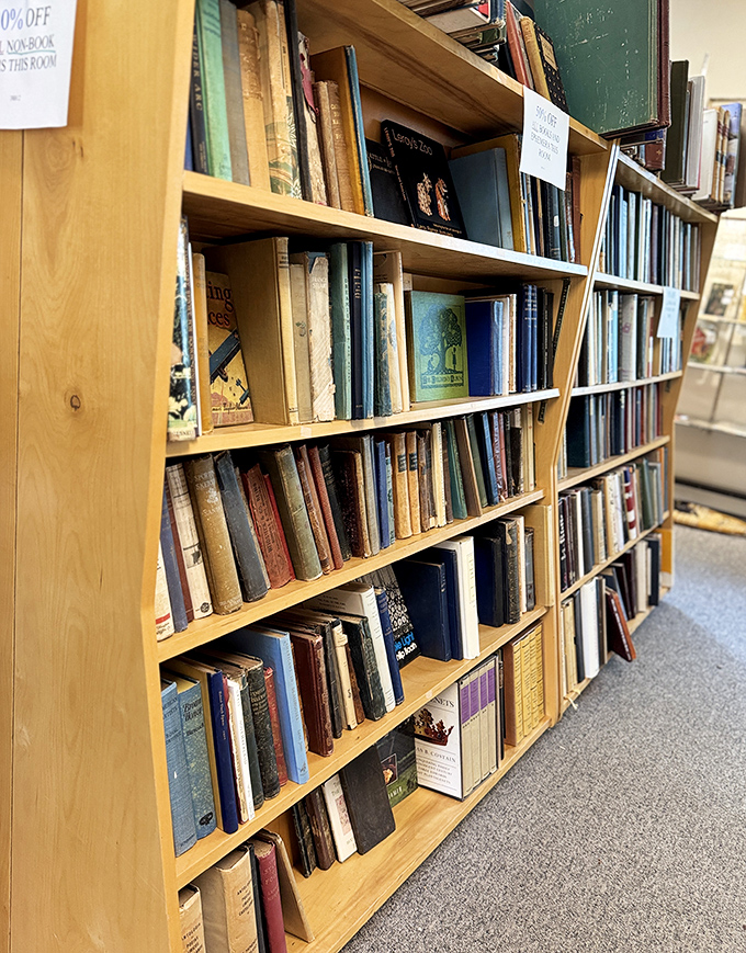 Bibliophiles beware: these shelves of literary treasures might keep you captive for hours, each spine promising stories beyond the ones printed on its pages.