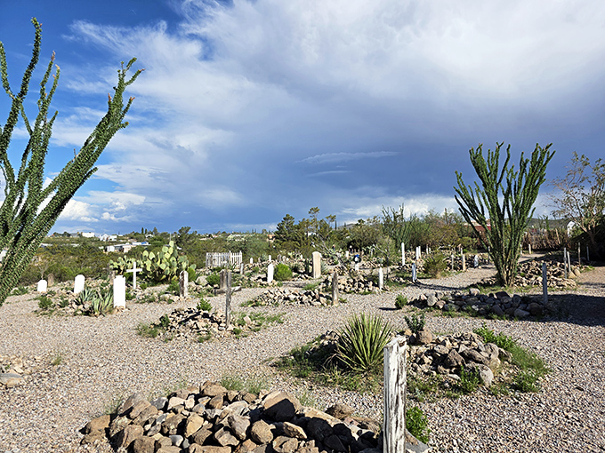 Boot Hill Graveyard's weathered markers tell tales both tragic and darkly humorous of those who met their end in the Wild West.