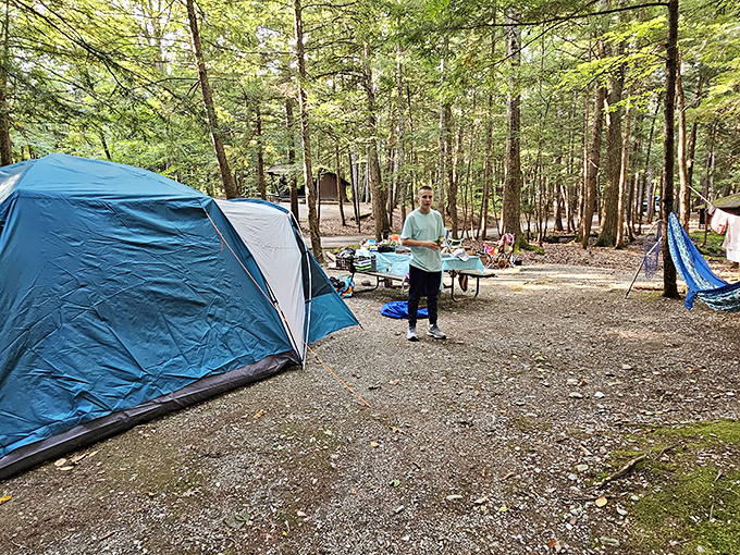 Camping nirvana: blue tents nestled among towering pines, where morning coffee tastes infinitely better with lake views.