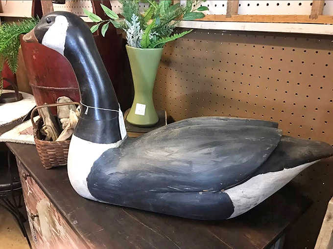 This handsome Canada goose decoy isn't just decorative &ndash; it's a functional piece of hunting history with incredible craftsmanship.