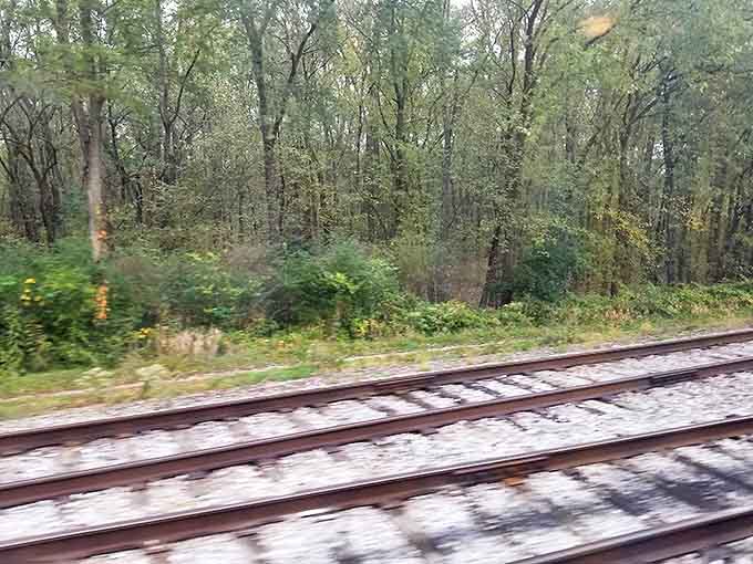 The tracks stretch ahead like an invitation to adventure. Each wooden tie and steel rail leads deeper into Ohio's most spectacular natural showcase.