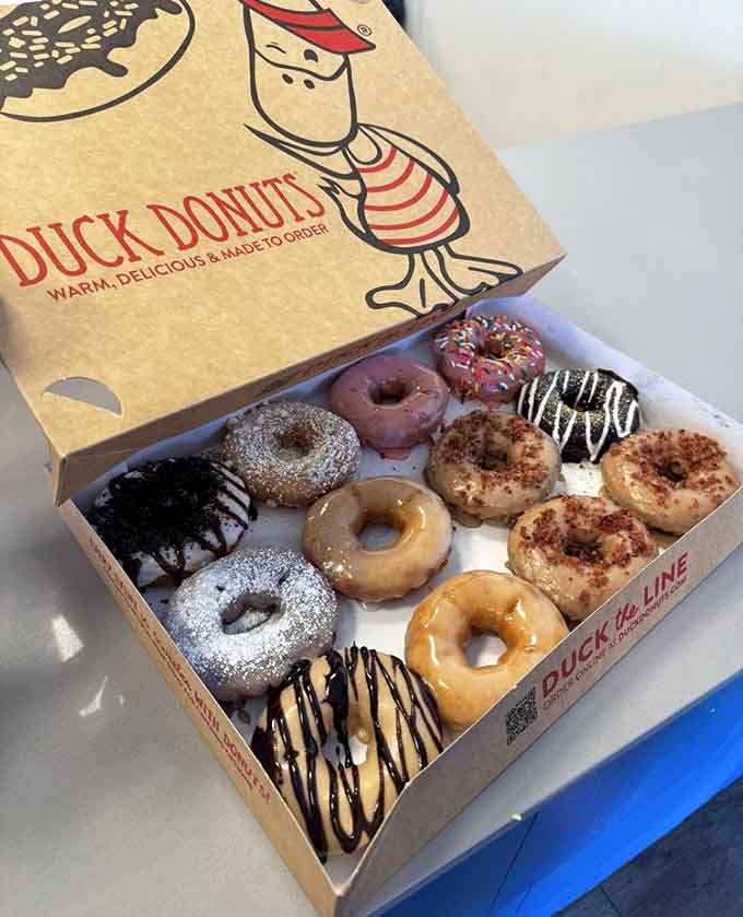 A dozen donuts that look like they're auditioning for a spot in your dreams tonight.