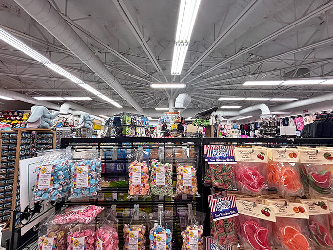 The candy section offers a rainbow of sweet temptations, where salt water taffy and citrus candies compete for sugar-seeking tourists.